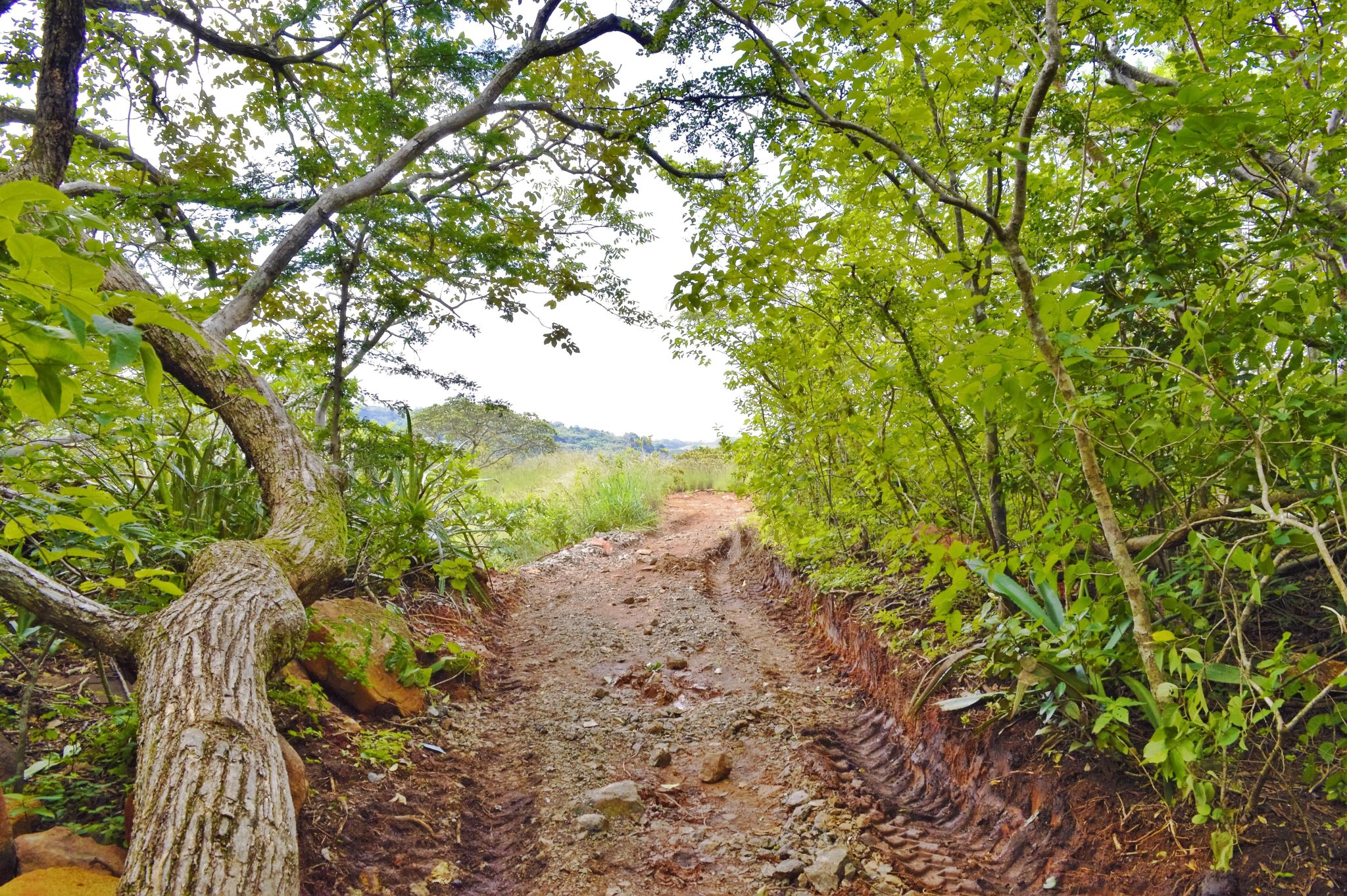 Hiking Rincon De La Vieja National Park – Round the World Magazine