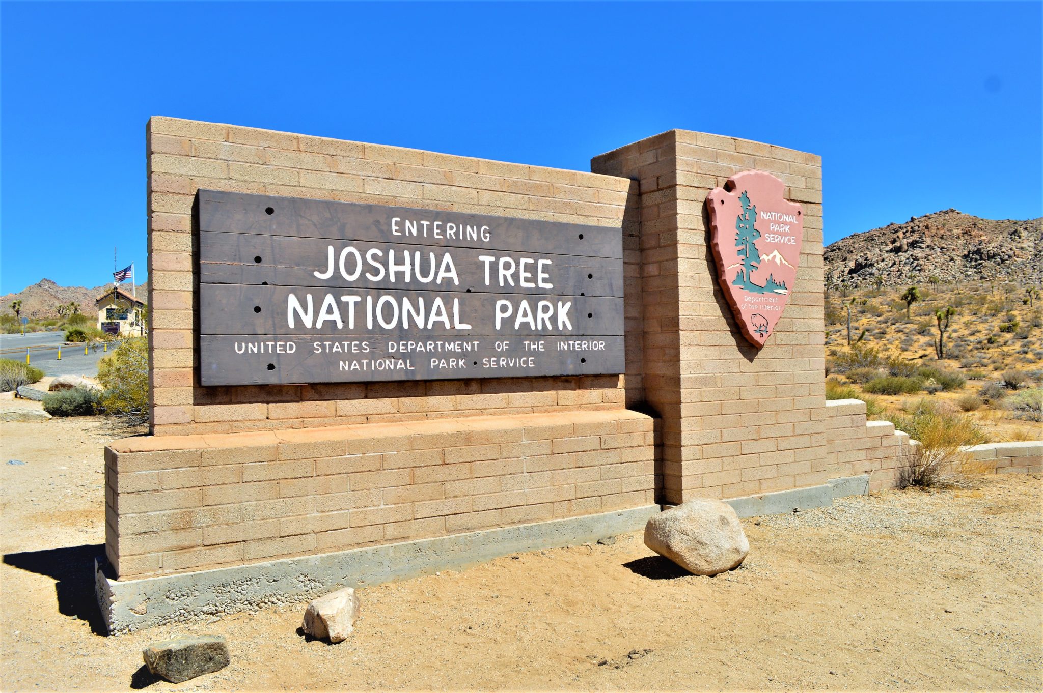 National Park Yellow Trees