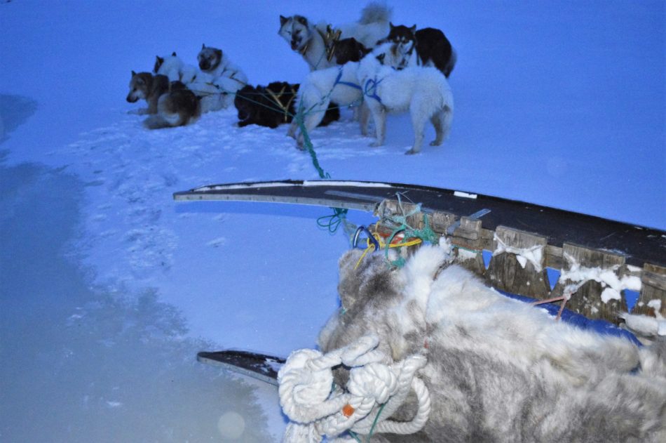 Dog Sledding in the Arctic Circle – Round the World Magazine