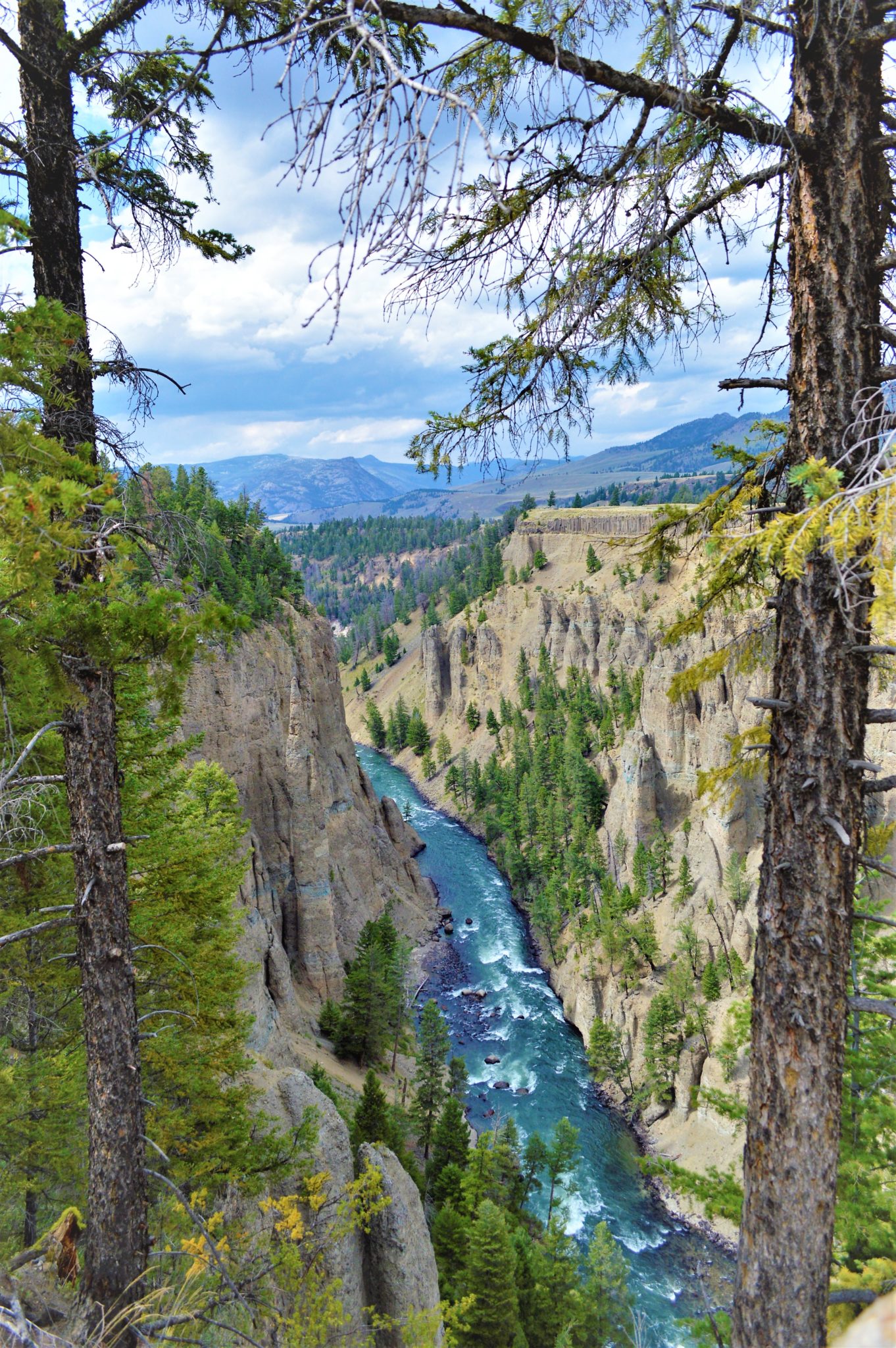 Tower Falls overlook, 3 days in Yellowstone National Park – Round the ...