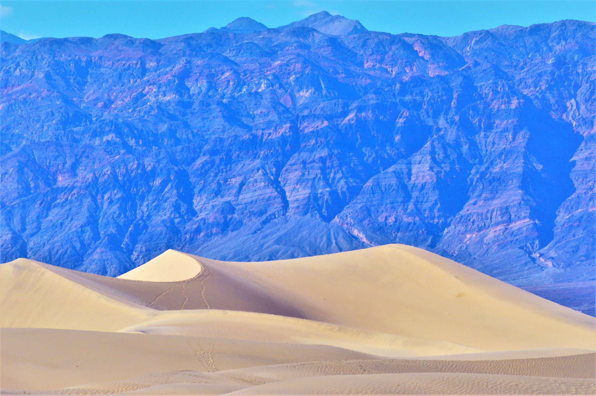 Close up mesquite sand flats, death valley national park, usa – Round ...