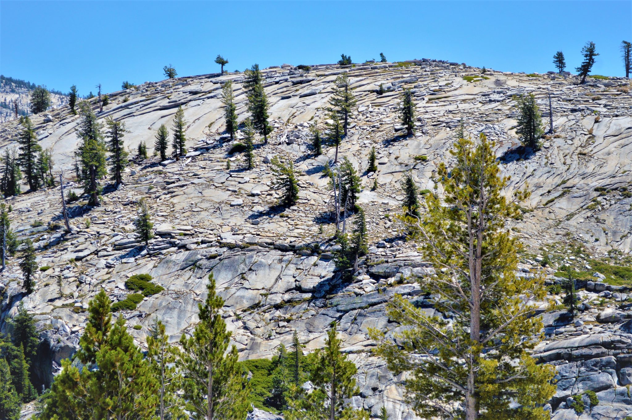 Cliff at Yosemite national Park, California – Round the World Magazine